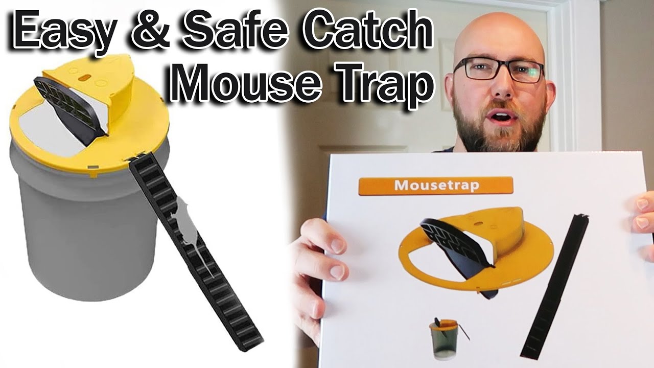 Best Mouse Trap? | Live / Safe Bucket Mouse Trap - YouTube