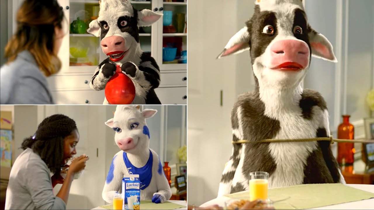 All Funny Lactose Free Lactaid Milk Cow Commercials - YouTube