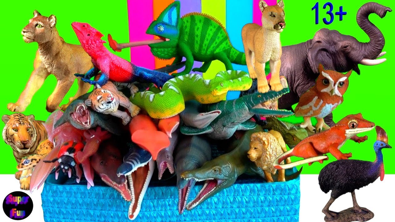 New Animals Lion Tiger Elephant Cougar Lizards Snakes Marine Reptiles ...