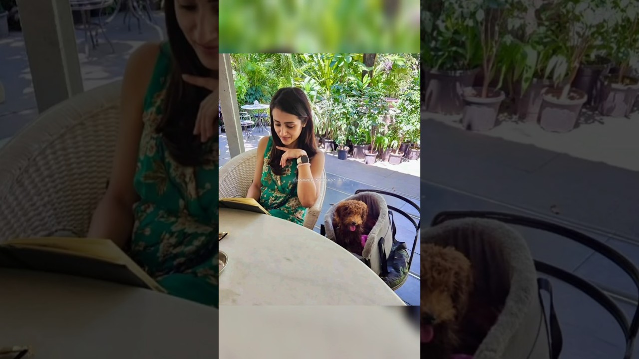 நண்பர்களுடன் உலா வந்த திரிஷா | #shortsvideo #thirisha #doglover - YouTube