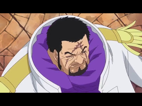 First order from Big Boss Luffy and Fujitora thanked The Straw Hat ...