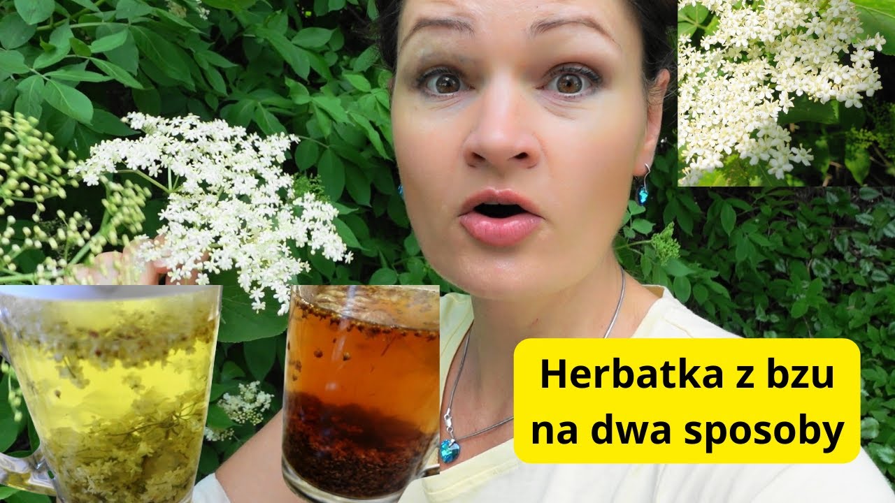 Lecz się naturalnie! BEZ CZARNY herbata z kwiatów na przeziębienie i ...