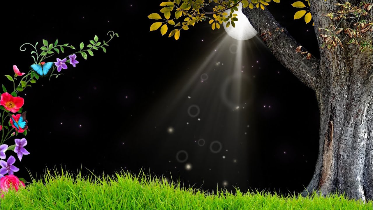 Beautiful Nature Background Video Effects HD | Moon Light Effect ...