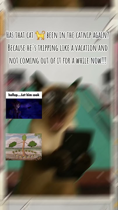 #Dyrtycurty05 #funny Has that cat 🐈 been in the catnip again? #giggles #thestupids#subscribe ...