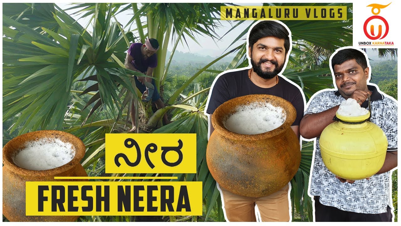 Tasting Fresh Neera in Mangalore | Unbox Karnataka | Kannada Food ...