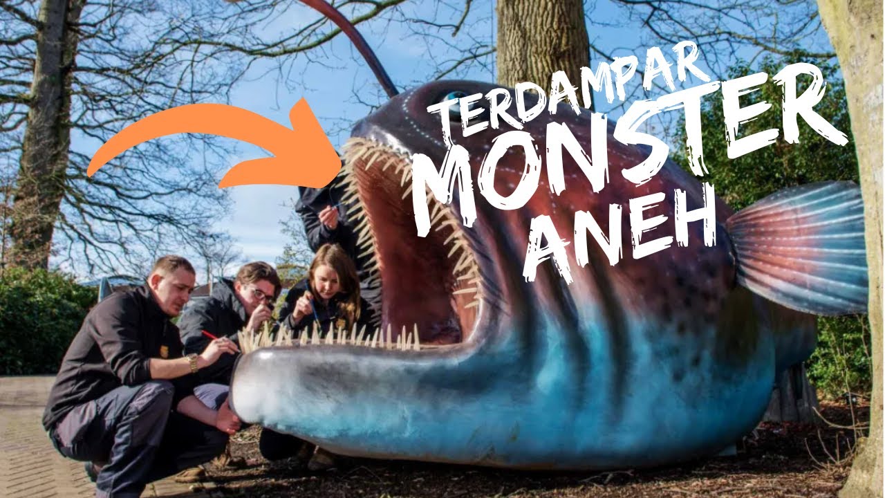ASLI! Monster Ikan Lampu Telah Terdampar di Pantai Secara Misterius ...