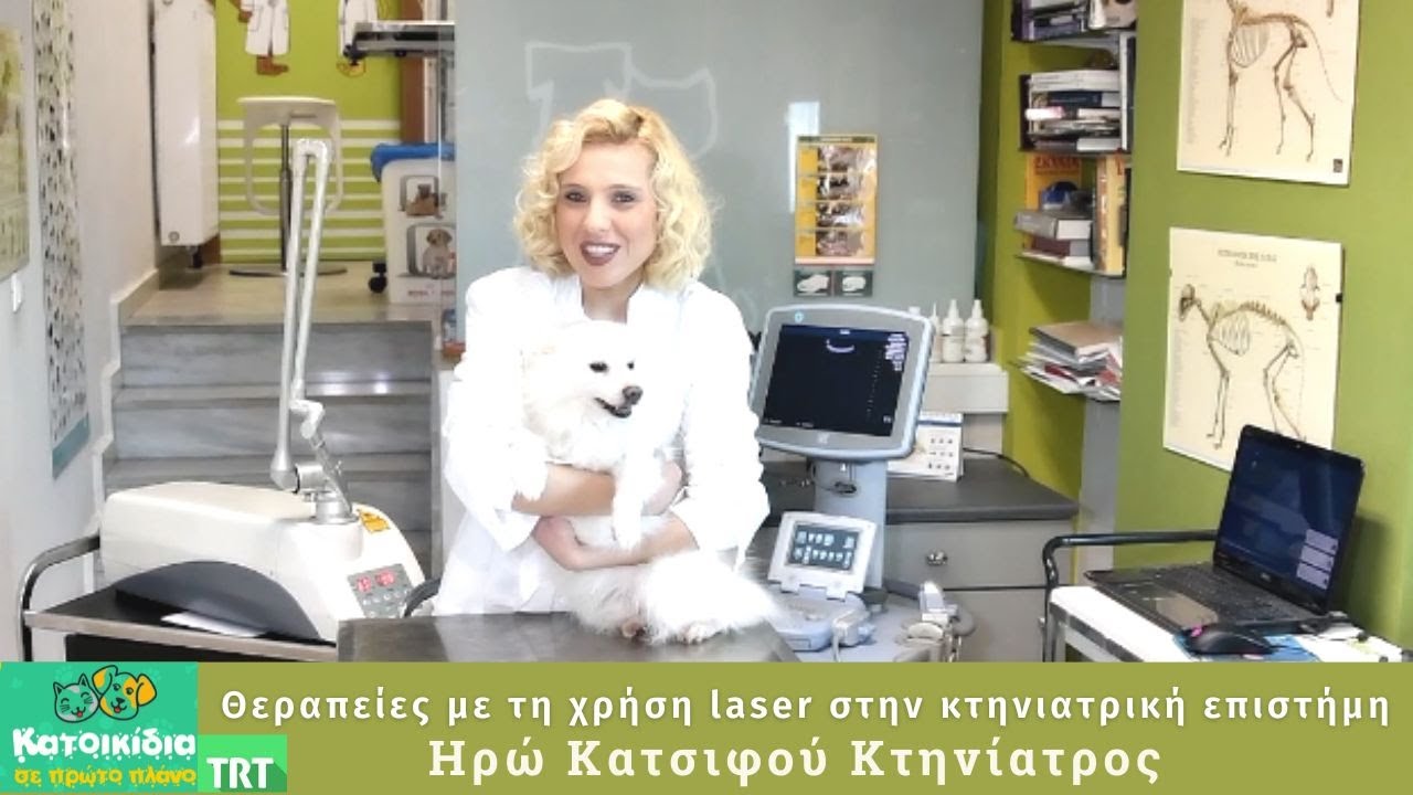 "Θεραπείες με τη χρήση laser στην κτηνιατρική επιστήμη!" Ηρώ Κατσιφού ...
