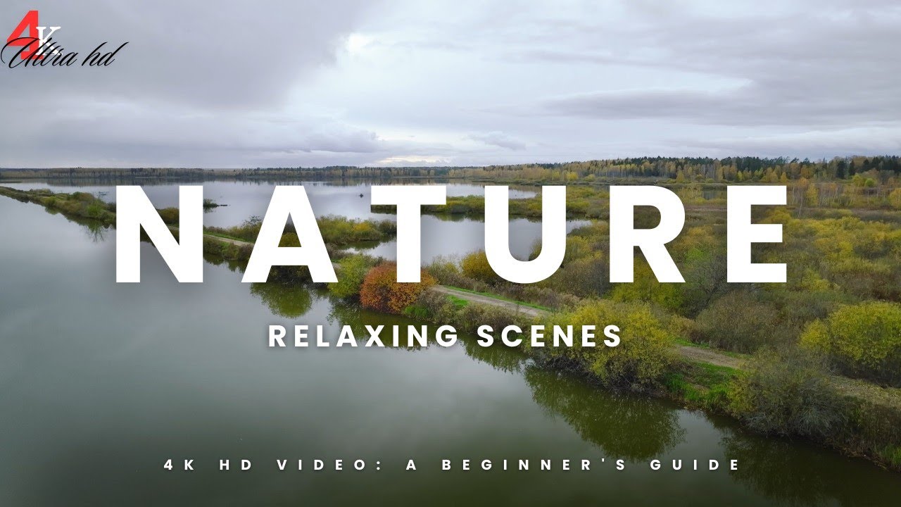 4K HD Nature Relaxing Scenes | A Beginner's Guide - YouTube