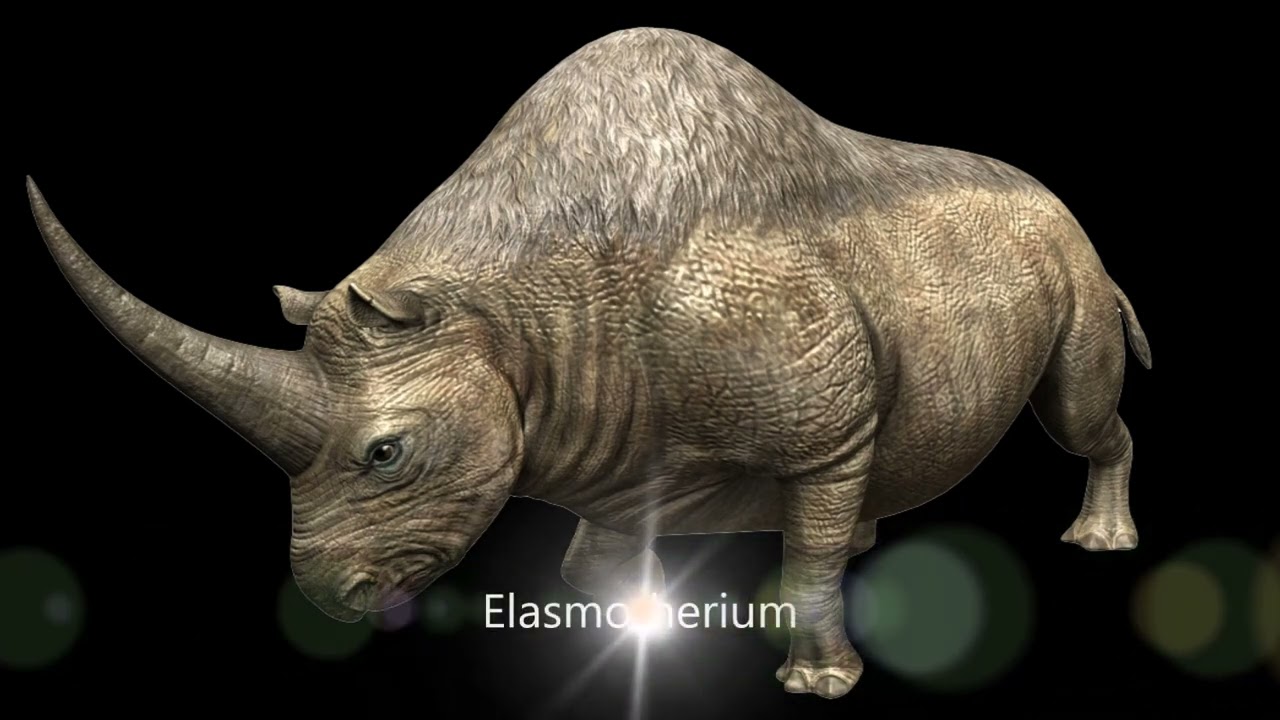 Jurassic World Alive All Creatures (Rare) - YouTube