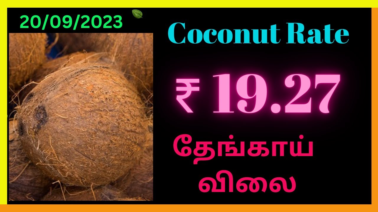 Coconut Rate | தேங்காய் விலை | Modakurichi Coconut Business | Coconut News Feed | AQSE Group ...