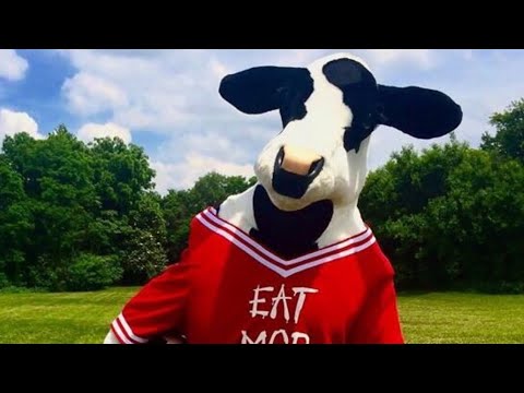 The History Of Chick-Fil-A Mascots Official Trailer - YouTube