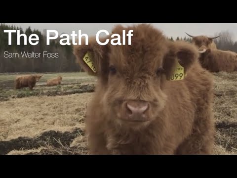 The Calf Path - YouTube