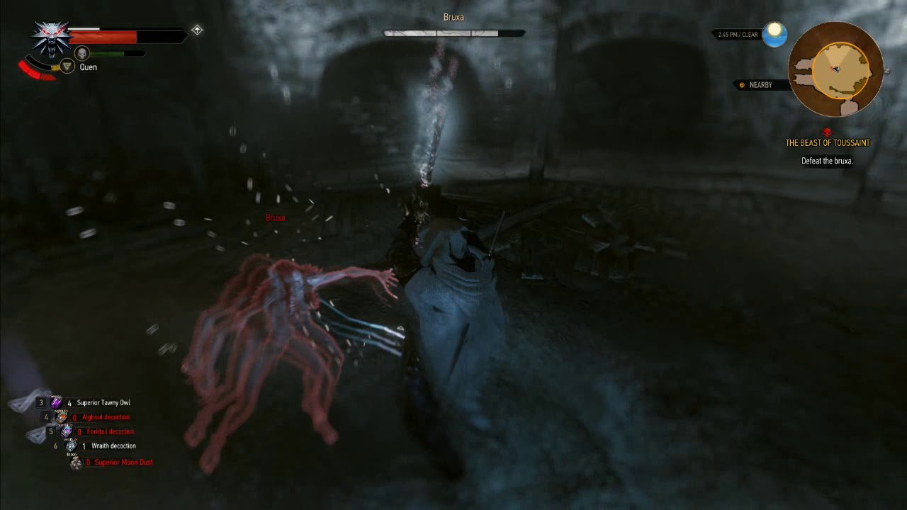 The Witcher 3 | Combat & Weapon Mods | BRUXA fight - YouTube