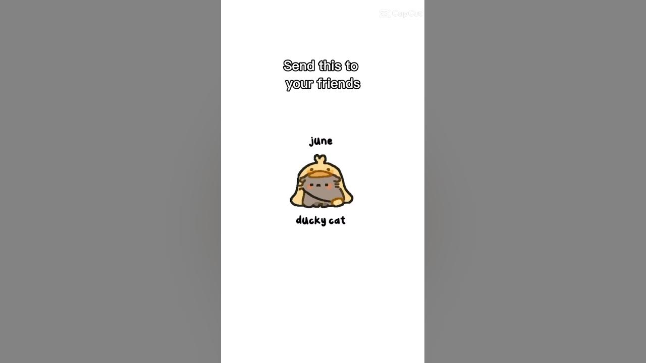 find your cat - YouTube