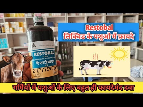 Restobal vet Liquid (Herbal Immunomodulator, Anistressor and ...