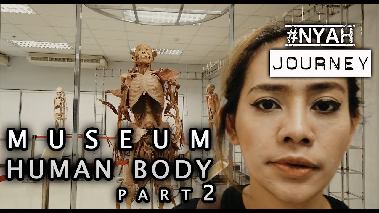 NYAH JOURNEY :MUSEUM HUMAN BODY part 2 - YouTube