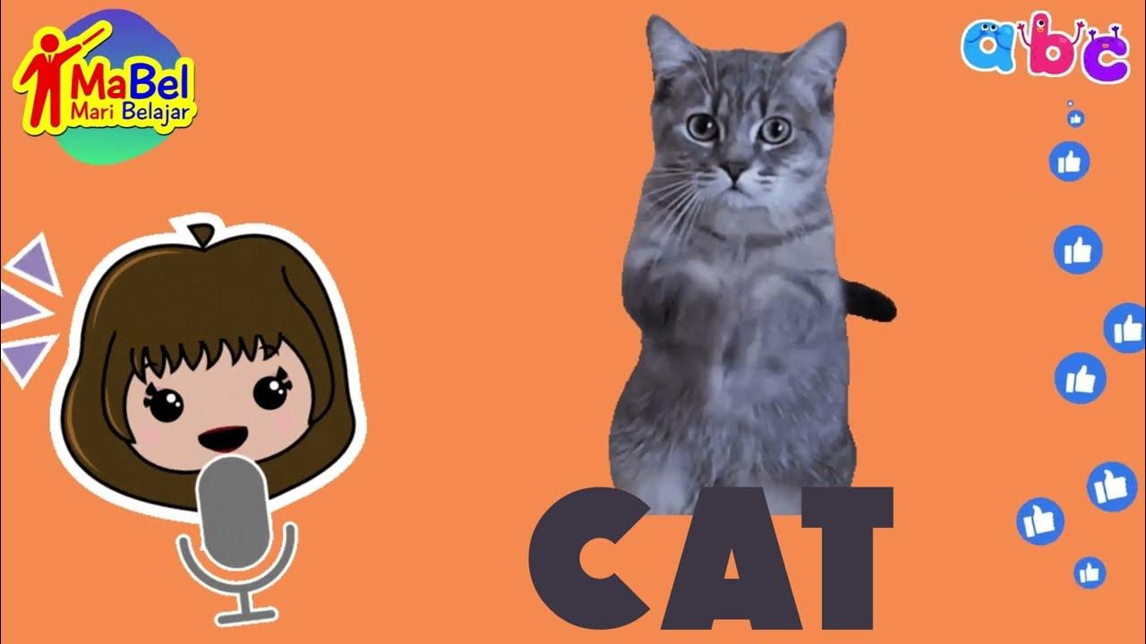 Let s Learn Spelling Words With The Letter C Learn Read ABC For Kids let-s-learn-spelling-words-with-the-letter-c-learn-read-abc-for-kids