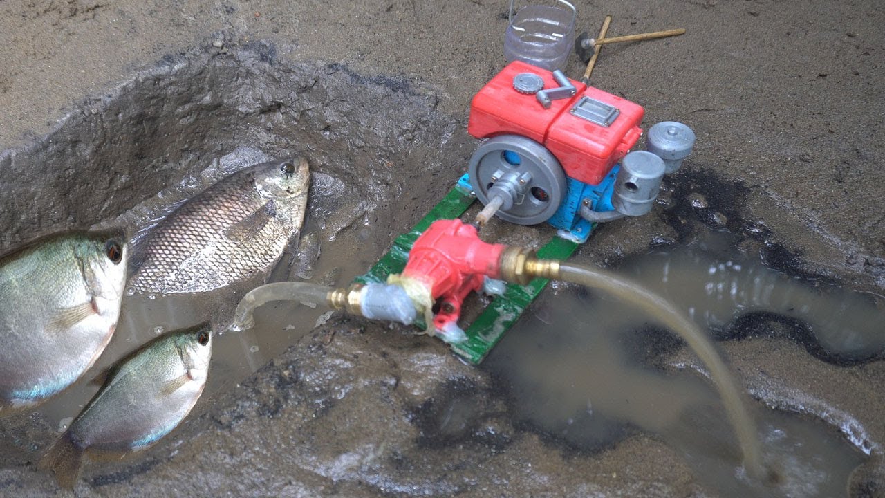 Catch Fish From Field Using Mini Water Pump - Fishing Exciting Mini ...