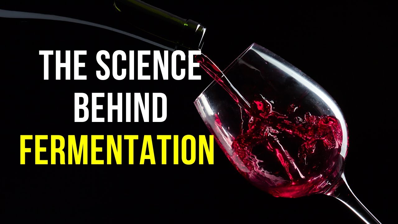 THE SCIENCE BEHIND FERMENTATION | HOW YOGURT AND OTHER FERMENTED FOODS ...