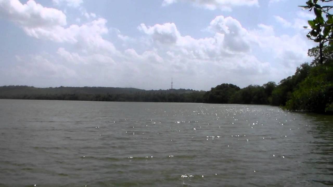 Laguna de Joyuda - Cabo Rojo - Puerto Rico - Video I - YouTube