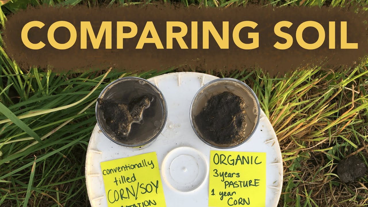 Comparing Soil Structure - YouTube
