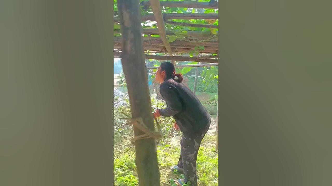 Omg bni Kaswi joda jad khak jaktui ogui tm ogk🤭😂||smriti daily video|| - YouTube