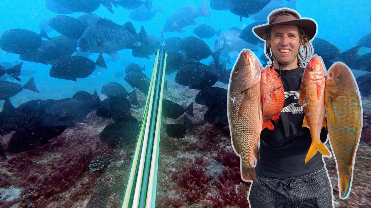 Testing My New Roller Speargun | Sunshine Coast Reefs Firing! - YouTube