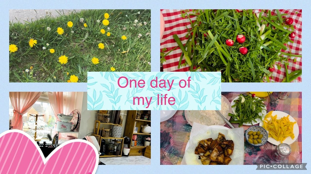 One day of my life 🛝🐠🧼67 یه روز از زندگی من 🥰💜 - YouTube