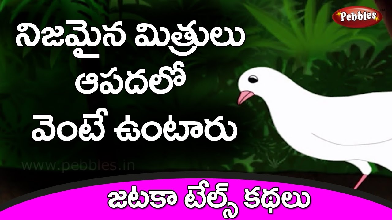 పావురము - చీమ | Pavuramu Cheema | Janthuvula Kathalu for Kids in Telugu ...