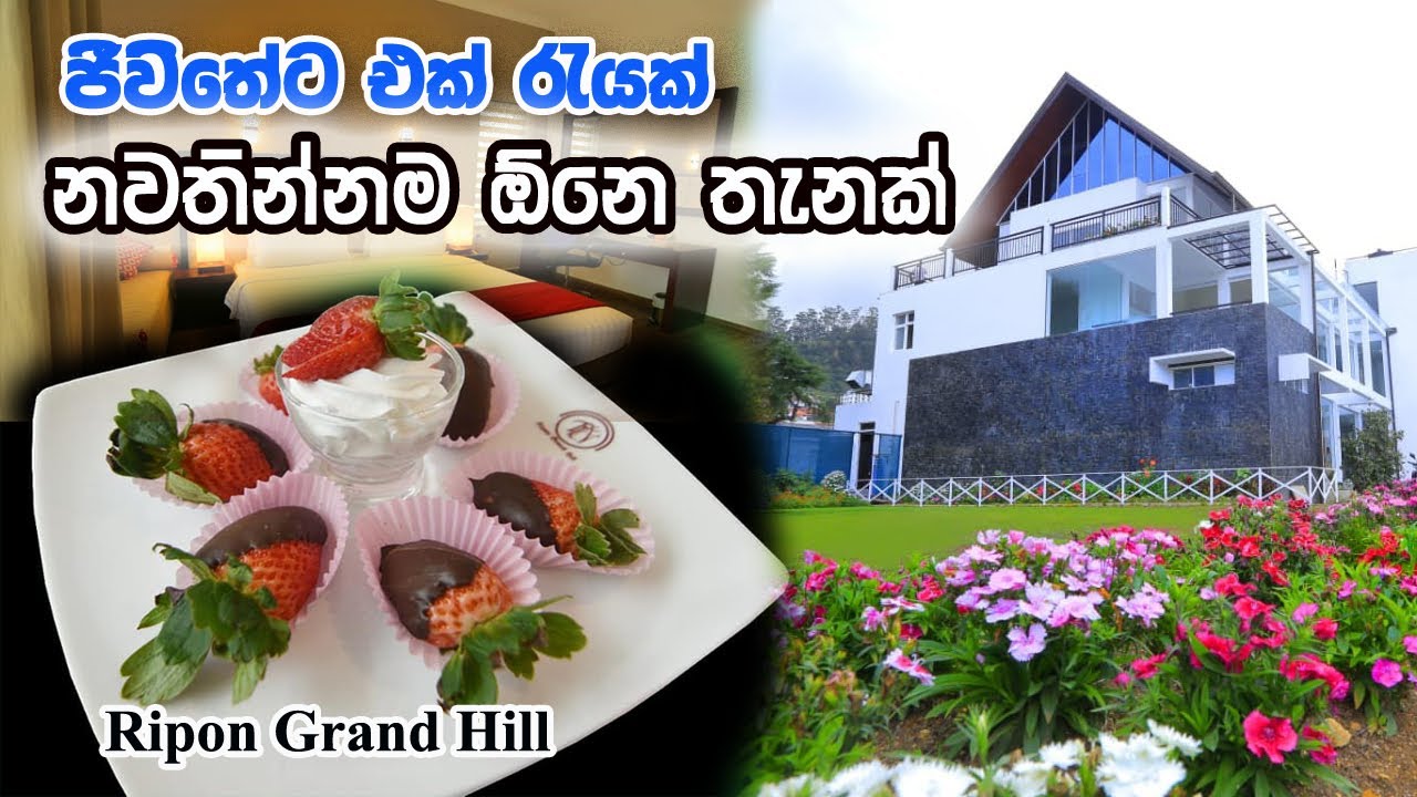 නුවර එළිය නවාතැන් | Hotels in Nuwara eliya Sri lanka | Ripon Grand Hill ...