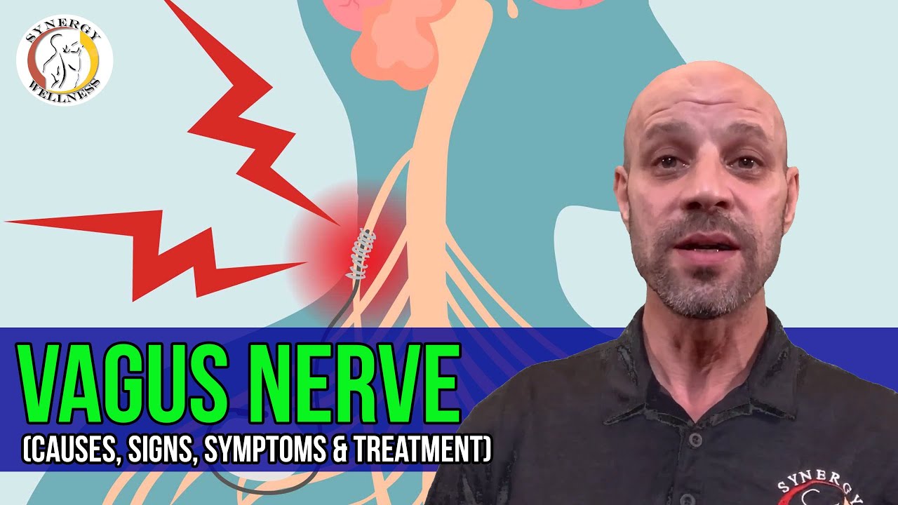 VAGUS NERVE- (Causes, Signs, Symptoms & Treatment) Cranial Nerve X ...