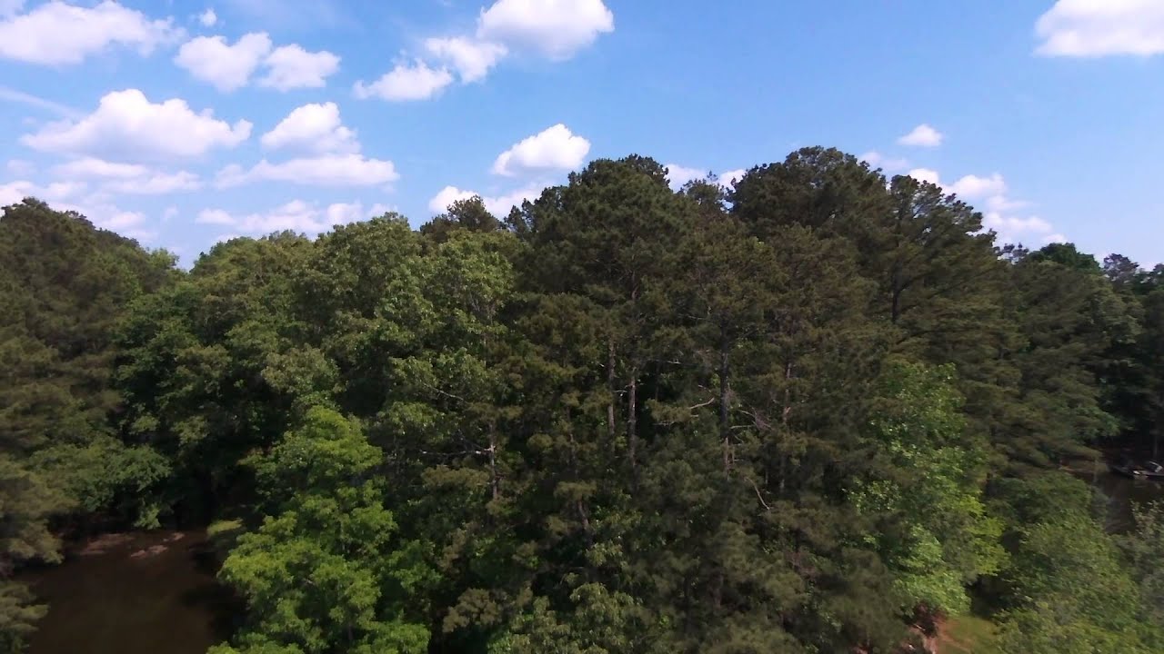 The Castleberry's 1 - YouTube