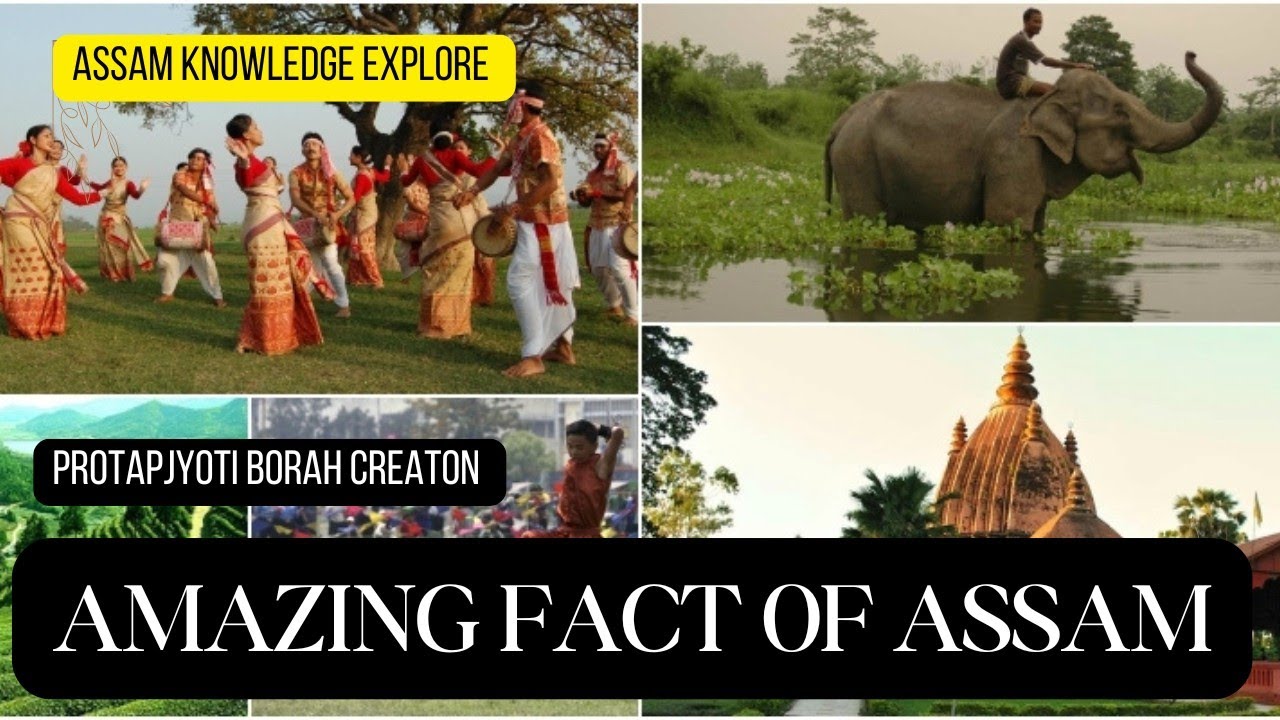 Amazing facts of Assam #Top 17facts of Assam #Assamfacts#Assam#shorts# ...