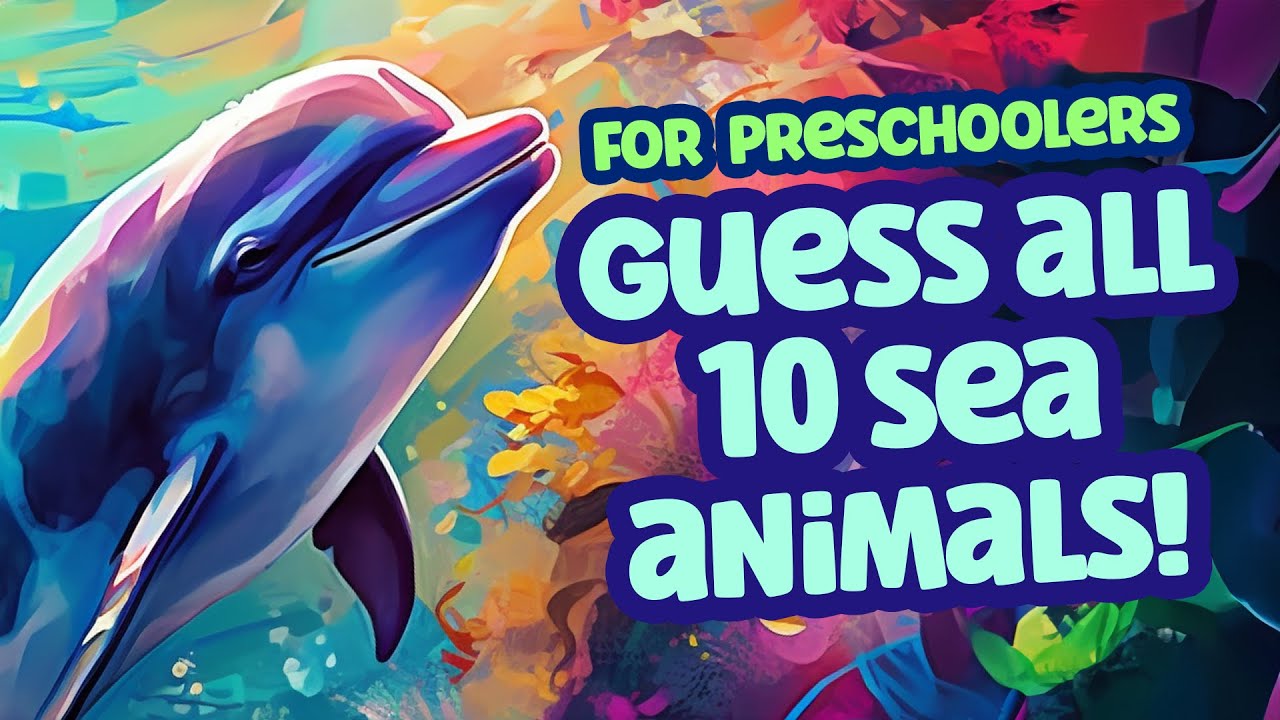 Guess the Sea Animal | 10 Under the Sea Creatures to Name for ...