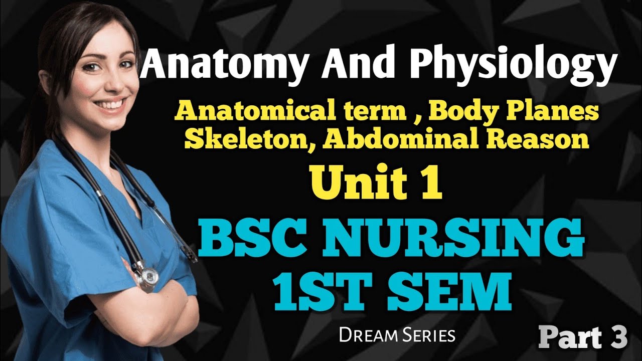 Anatomical Terminology And Body Planes || Anatomy and physiology || Bsc ...