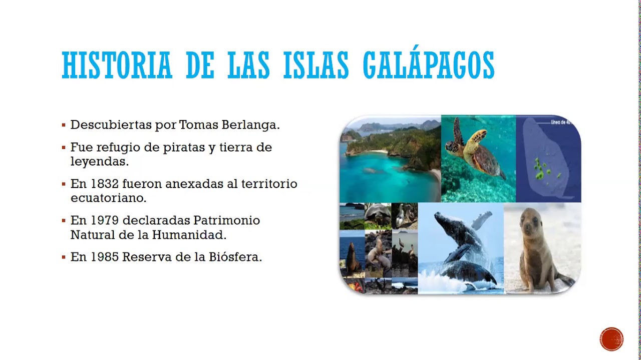 Región Insular o Galápagos - YouTube
