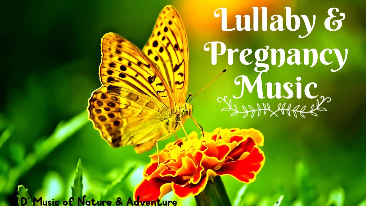 Blooming Spring Flowers Timelapse with Lullaby Music | tips EN trips ...