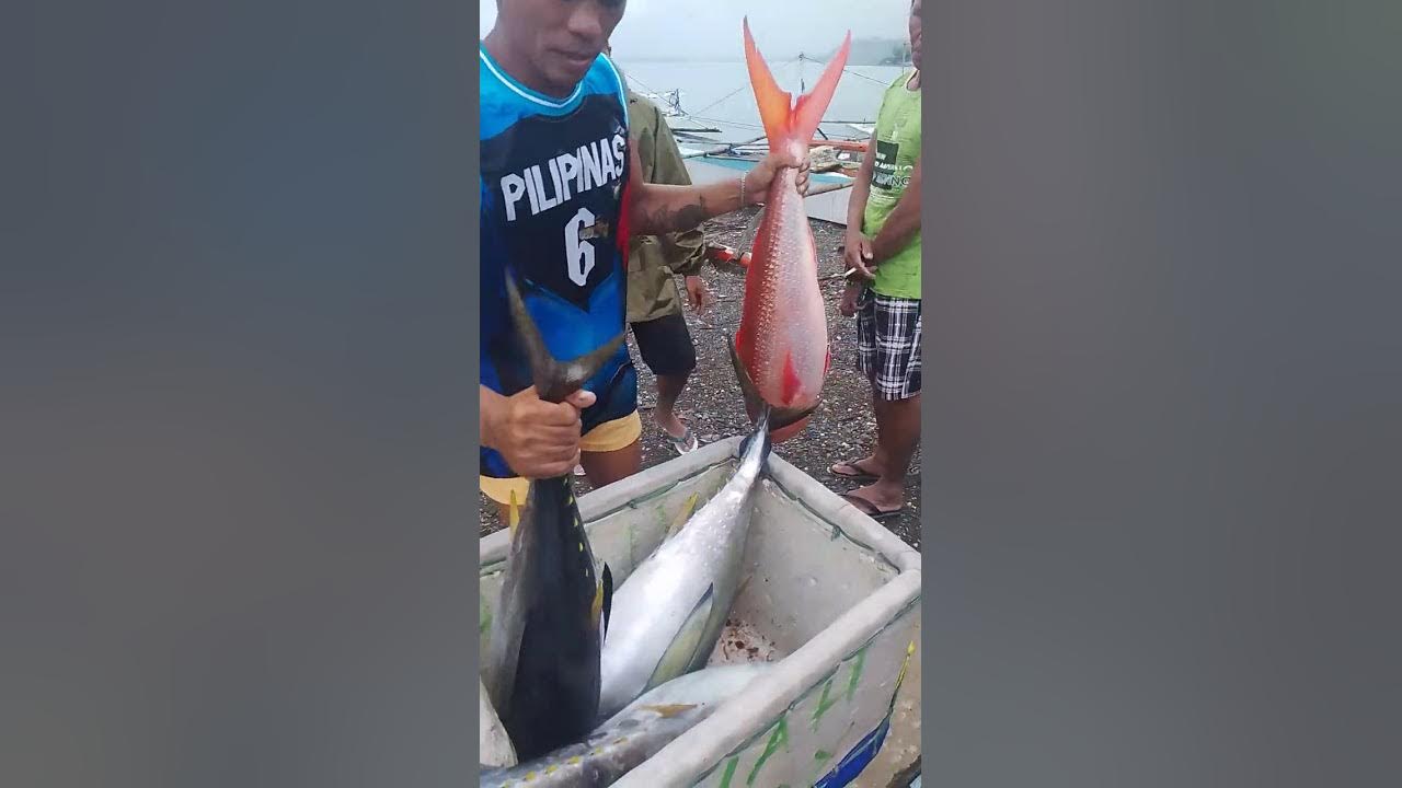 MALALAKING ISDA ANG NAHULI KAHIT MY BAGYO - YouTube