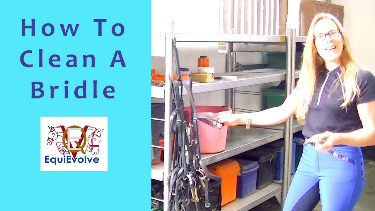 How To Clean A Bridle - YouTube