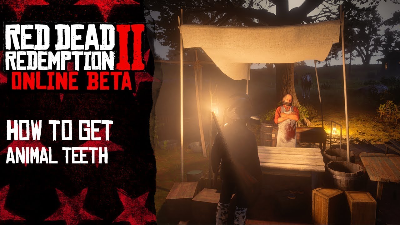 How to get animal teeth | Red Dead Redemption 2 Online - YouTube