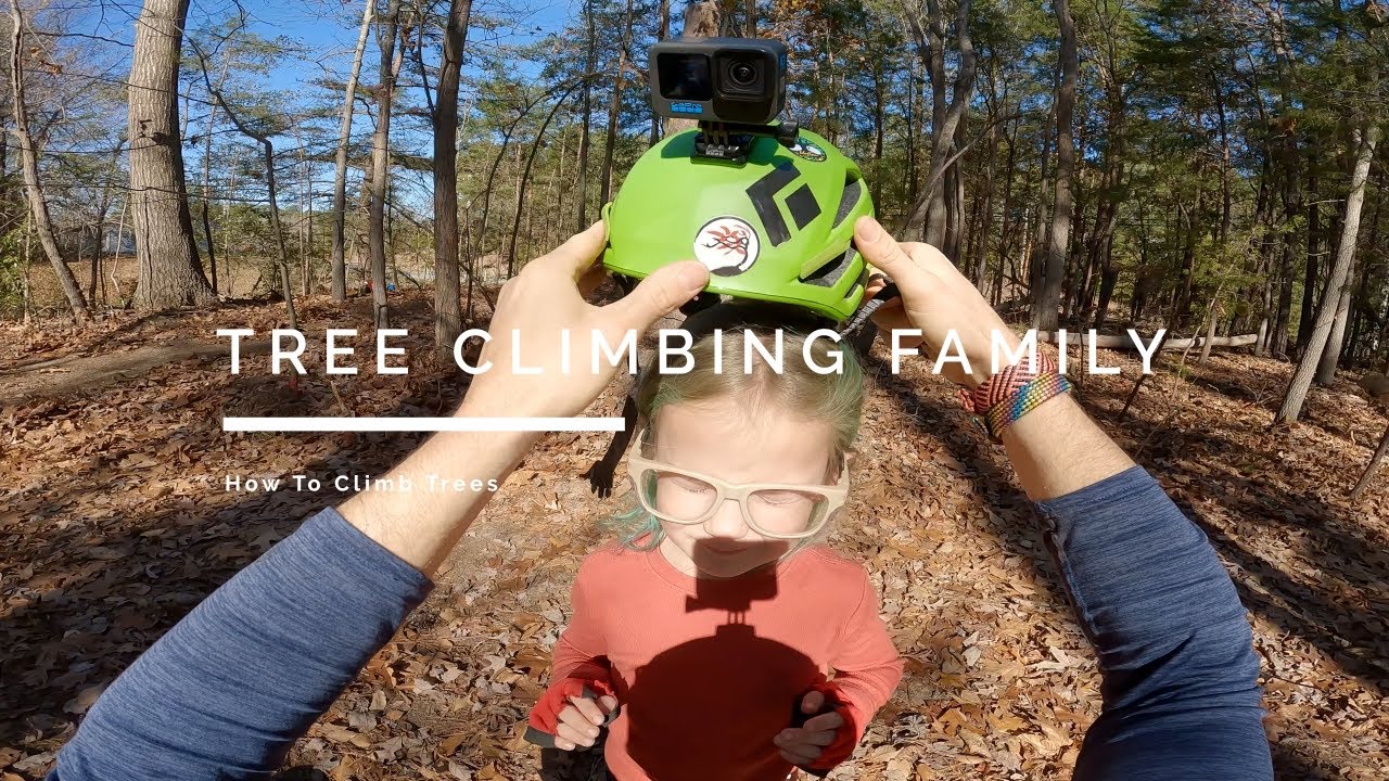 Tree Climbing Family - YouTube