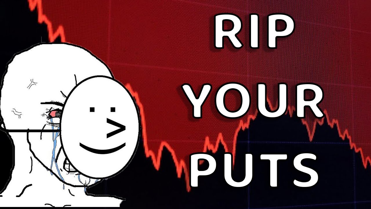 Why Your Puts Lost Money when the Stock Went Down - YouTube