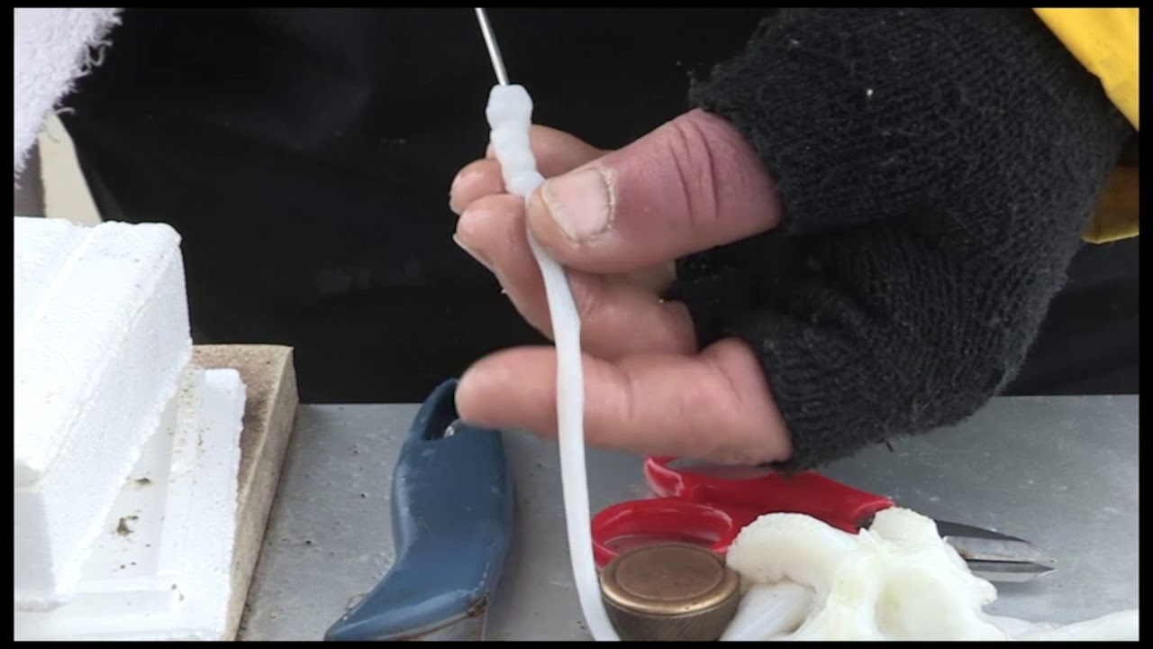 Innesco della seppia - YouTube