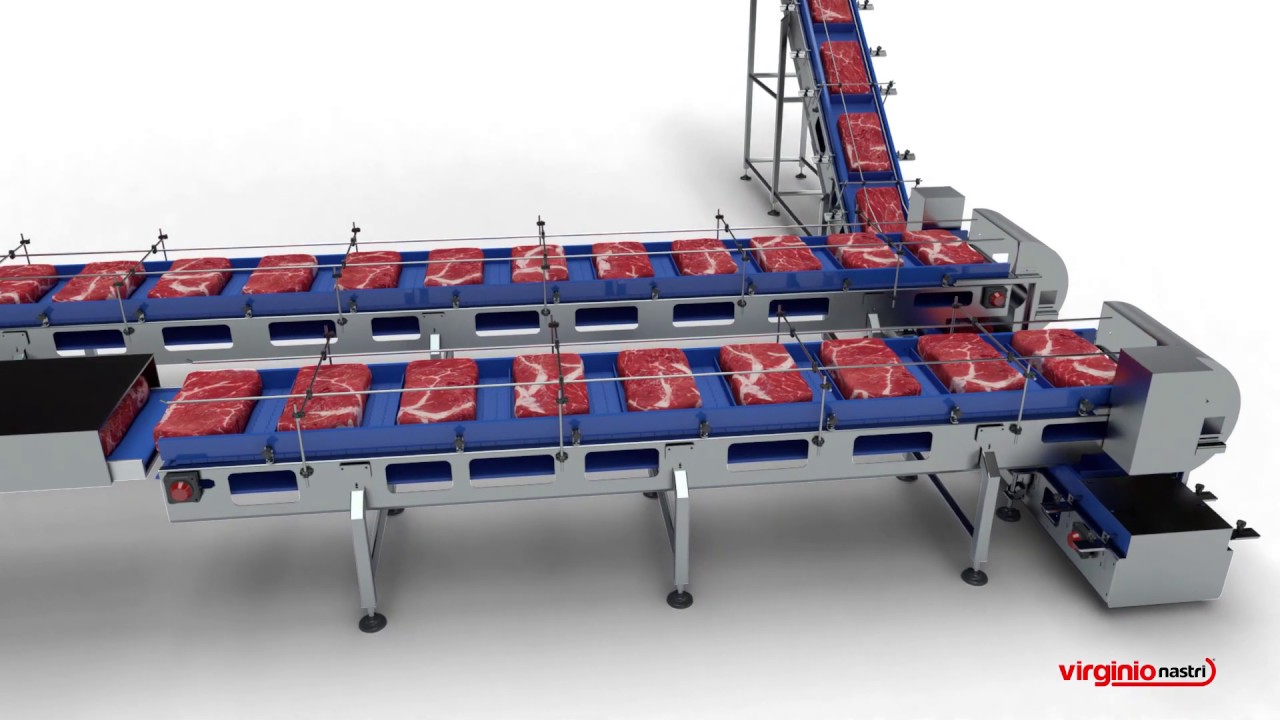 Handling carne congelata in blocchi da 25 kg / Handling of frozen meat ...