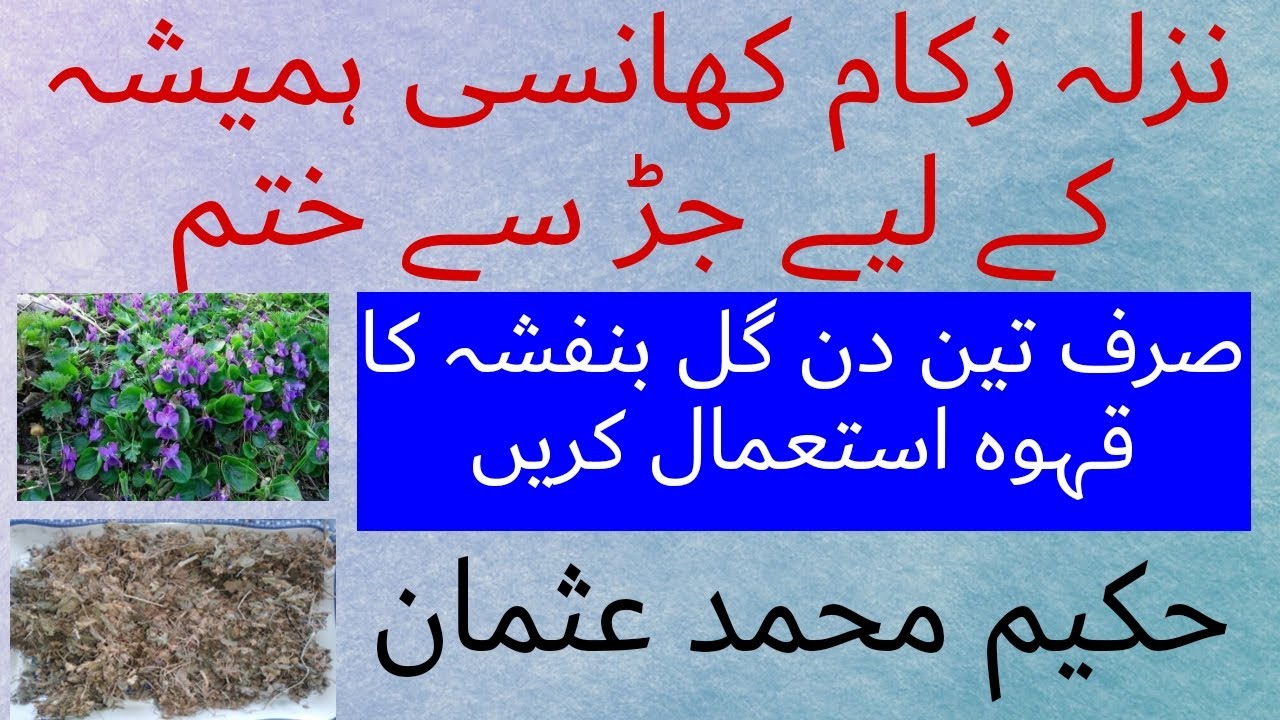 Gul Banafsha K Fawaid گل بنفشہ کے فوائد نزلہ زکام کھانسی گلے کی خراش کے ...