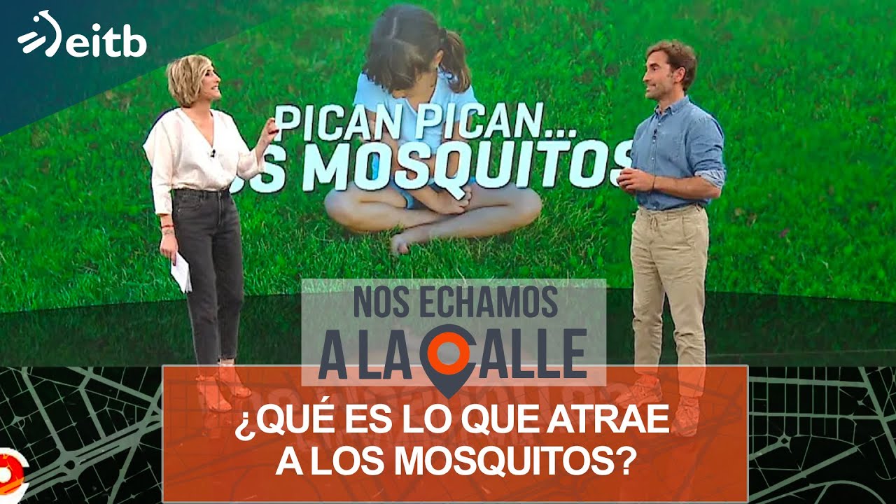 ¿Qué es lo que atrae a los mosquitos? ¿Cómo los podemos repeler? - YouTube