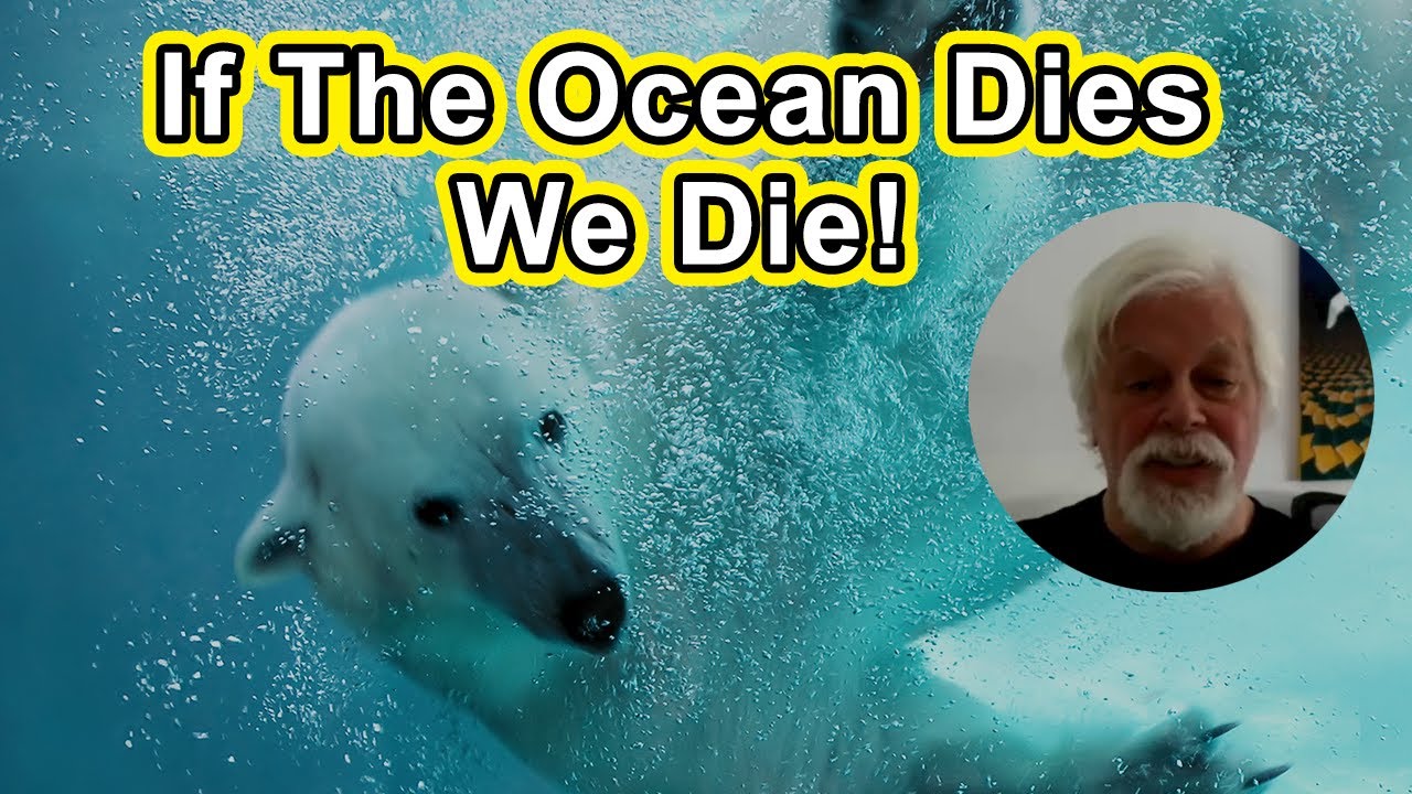 If The Ocean Dies, We Die! - Captain Paul Watson - YouTube