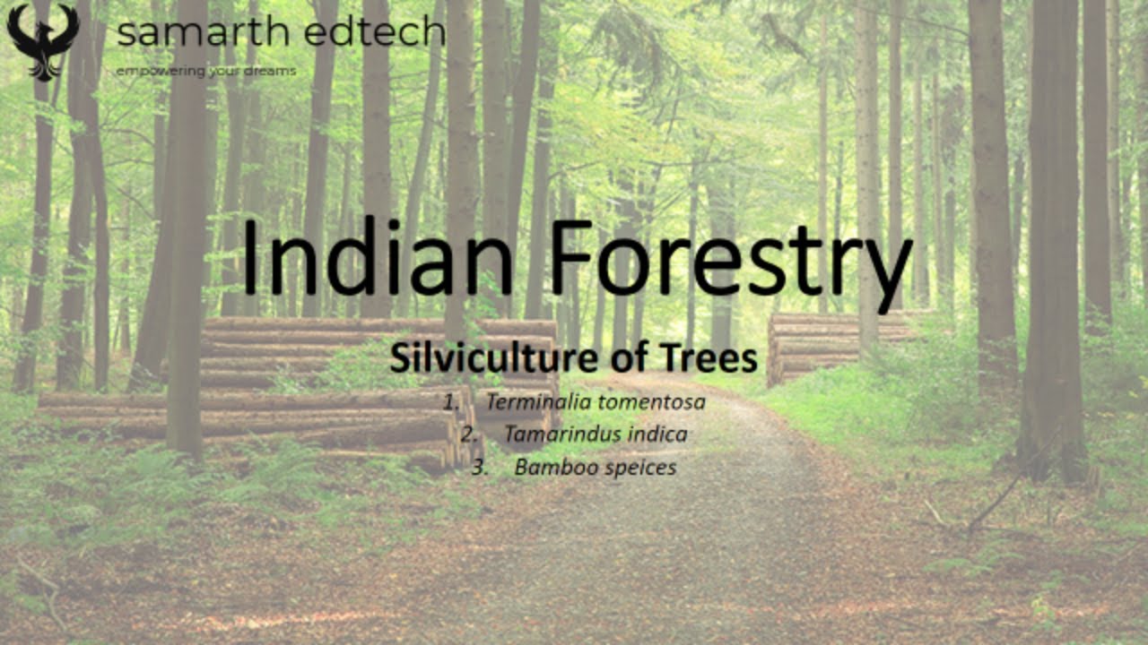 Silviculture of trees - Indian Forestry (Lecture-11) - YouTube