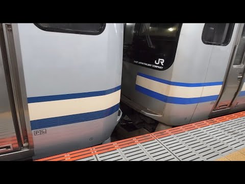 【1日限定で旧塗装復活】横須賀線E217系Y-101編成旧塗装+Y-42編成新塗装武蔵小杉駅到着 - YouTube