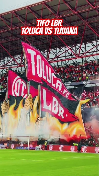 Tifo de LBR en el partido Toluca vs Tijuana 👹🔥 #Tifo #TolucaFC #lbr - YouTube